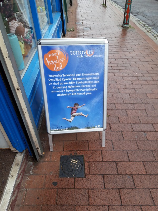 BS5 bilingualism | Steve Woods